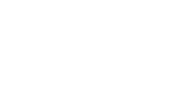 Leitlinie "Hypertensive Schwangerschaftserkrankungen" - Bundesverband ...